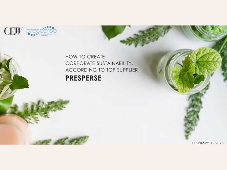 How to Create Corporate Sustainability, According to Top Supplier ...